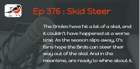 Episode 376: Skid Steer - Bird's Eye View